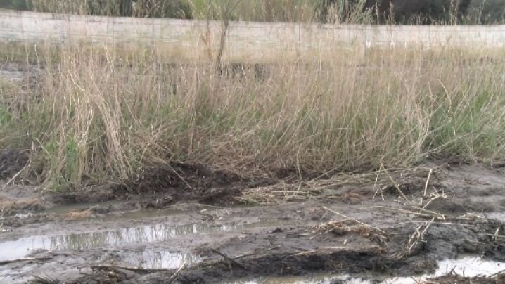 Platja d'Aro inverteix 82.000 euros per netejar la llera del Ridaura
